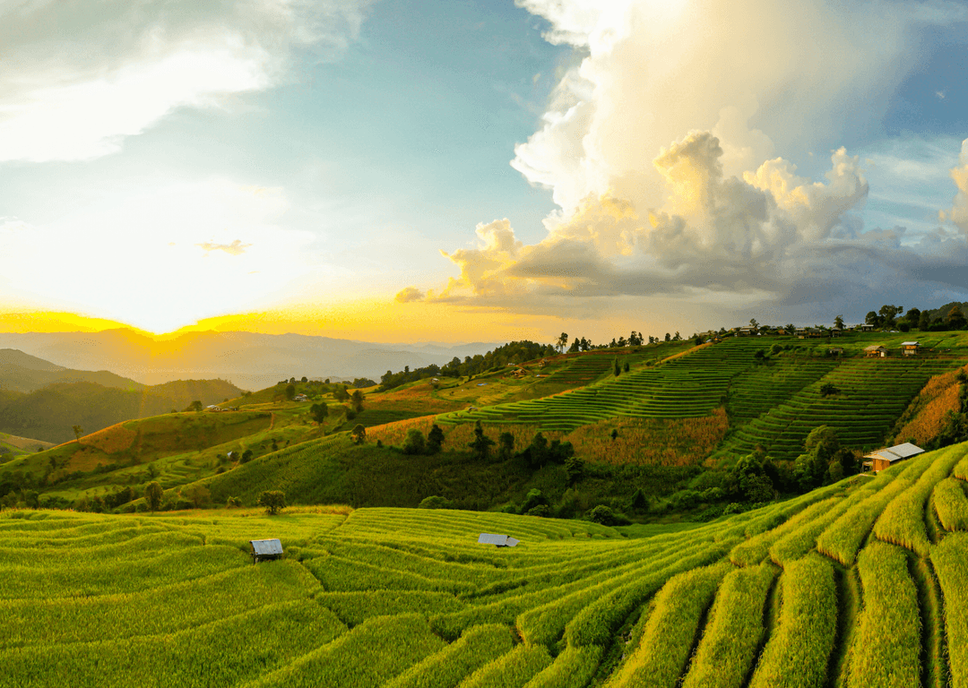 Welcome to CPF Center Co. Ltd.